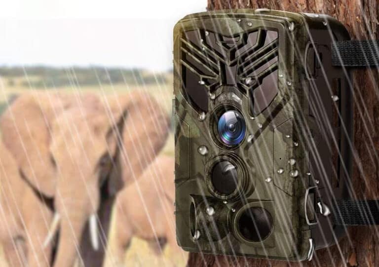 Best 5 Cellular Trail Cameras in 2024: Wildlife Guide
