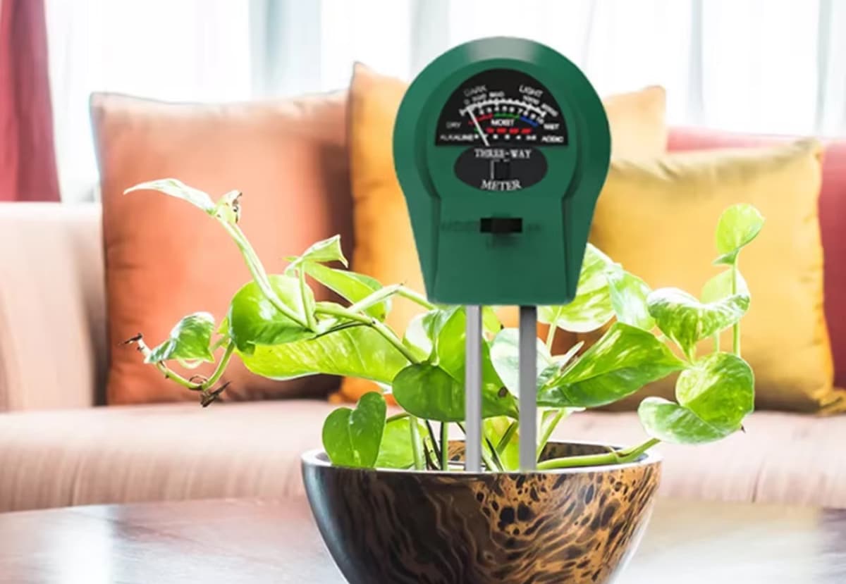 Best 5 Humidity Meters of 2025